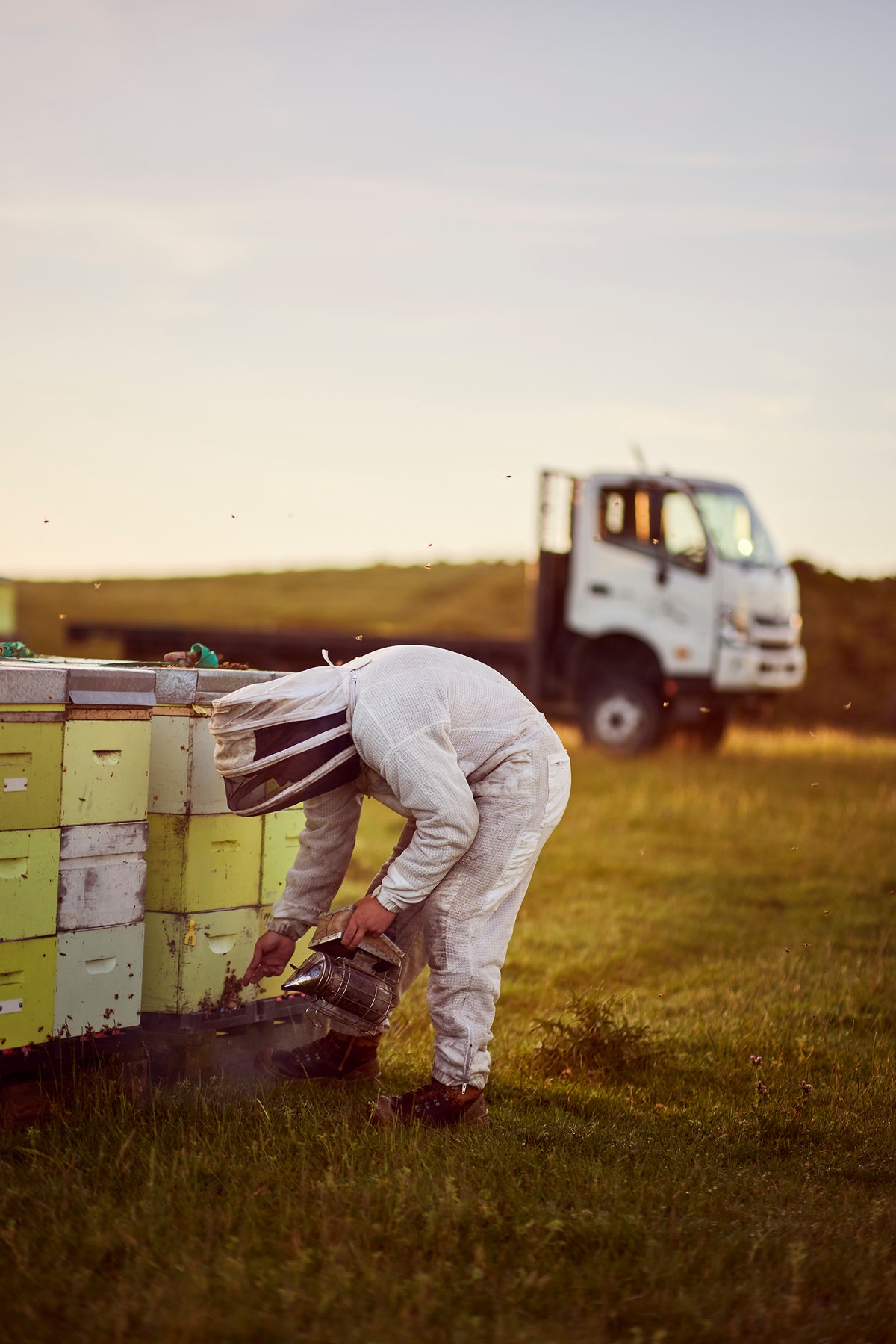 The Manuka Honey Makers | Egmont Honey NZ