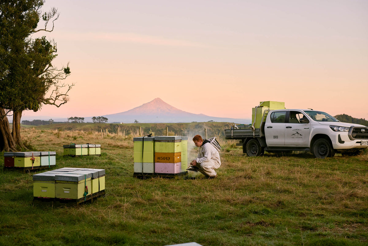 The Manuka Honey Makers | Egmont Honey NZ
